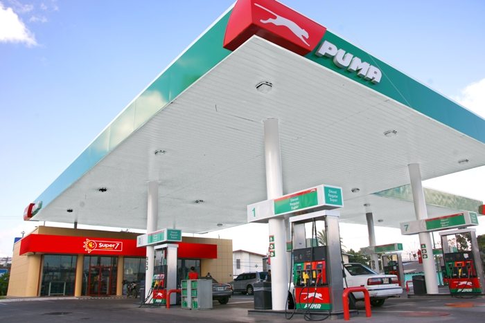 Puma upgrades World Economic Forum membership before Durban meeting ...