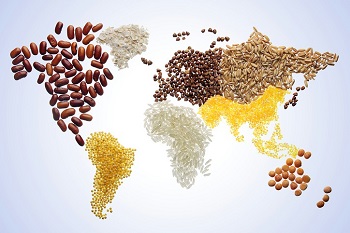 Overview on food self-sufficiency | Namibia Economist