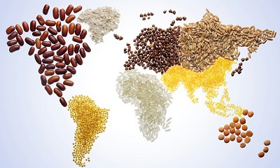 New scenarios on global food security based on Russia-Ukraine conflict ...