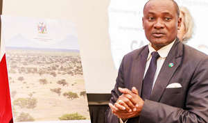 Namibia can generate N$76 billion from bush encroachment says official ...