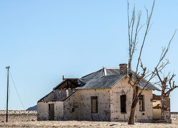 Desert horse foundation partners environment ministry to rebuild first ...