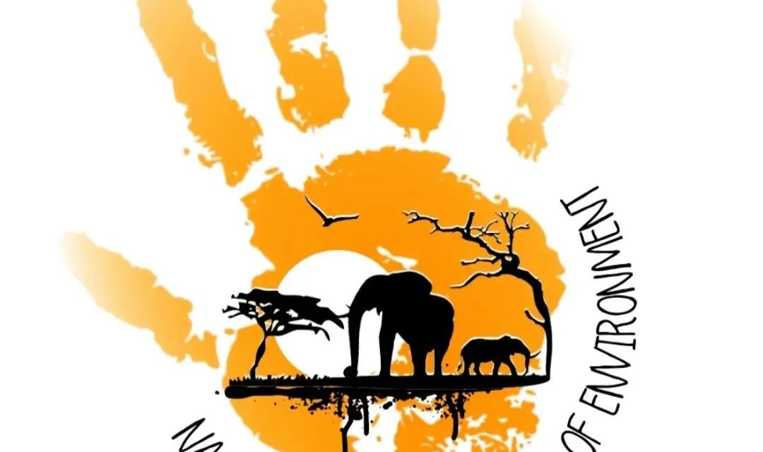 Chamber of Environment announces logo design winner | Namibia Economist