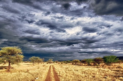 Namibia’s nuclear ambitions: Shaping the future of energy development ...