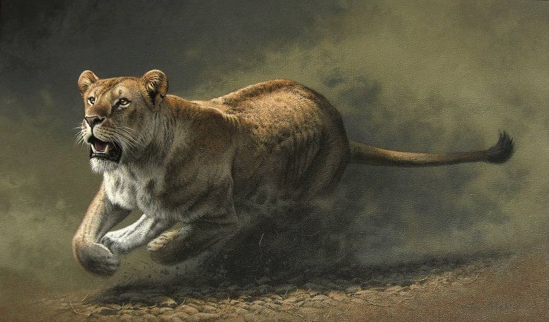 Wildlife Artist Of The Year