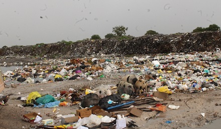 Government considers banning more single use plastic products | Namibia ...