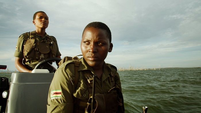 World Ranger Day 2025: Honouring wildlife protectors | Namibia Economist