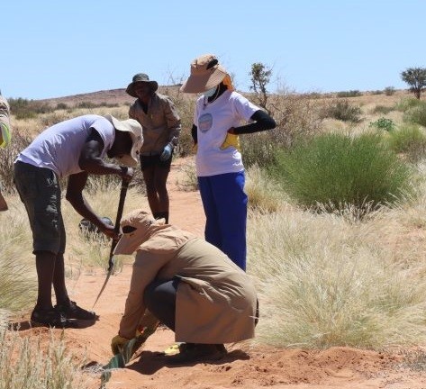Collecting Karoo specimens for record keeping | Namibia Economist